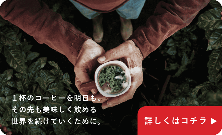 ネスカフェ | Hero Bottle Project